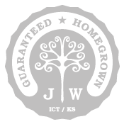 Jonathan Wood: Art + Design