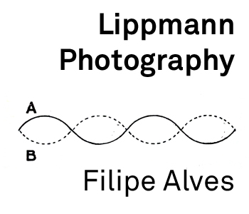 Still life 2016 - Filipe Alves - Lippmann photography