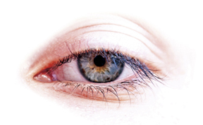 Sara Requena - Photography