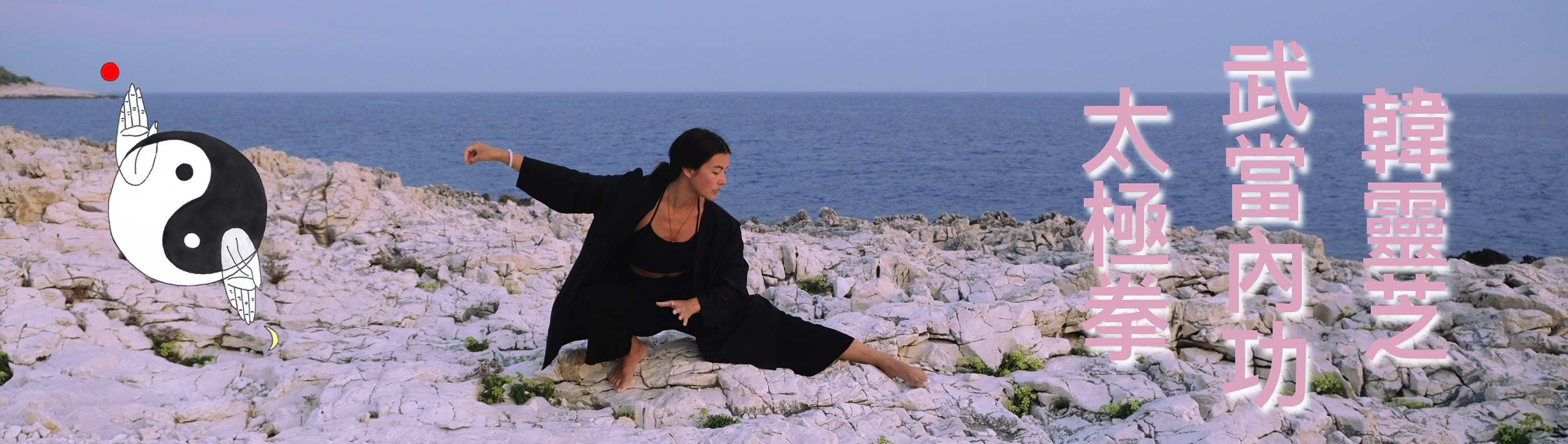 Wudong Neigong Taiji Quan