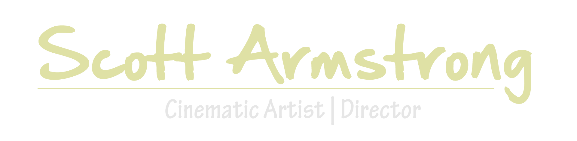 Scott Armstrong Professional Work