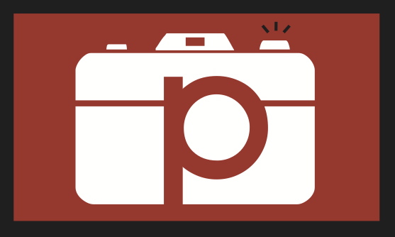 Priscilla Witte Photography