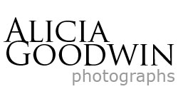 Alicia Goodwin :: Photographs